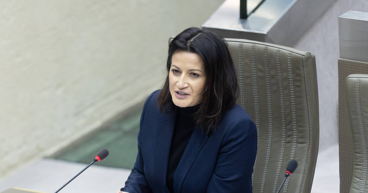 Ook senaatsvoorzitter wil Senaat afschaffen: “Hopelijk zijn het dit ...