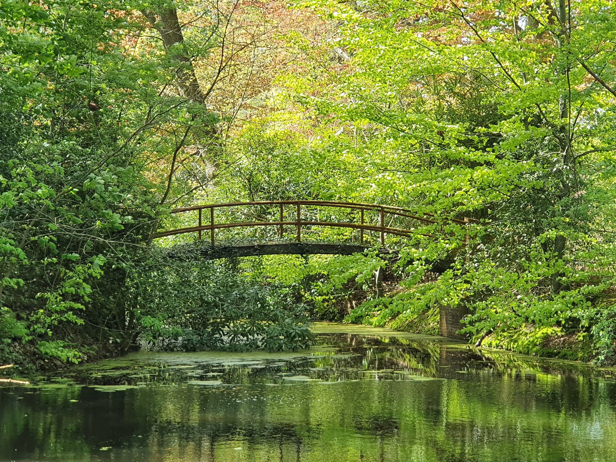 IN BEELD. Een unieke blik op het prachtige park achter ‘Villa Holganza ...