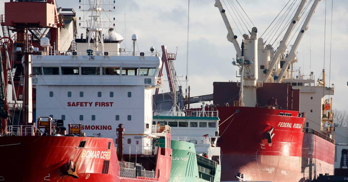 Walstroom voor zeeschepen in Zeeuwse havens kan veel stikstofuitstoot ...