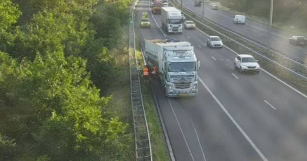 Dikke file op A50 bij Apeldoorn door kapotte vrachtwagen | Apeldoorn | destentor.nl