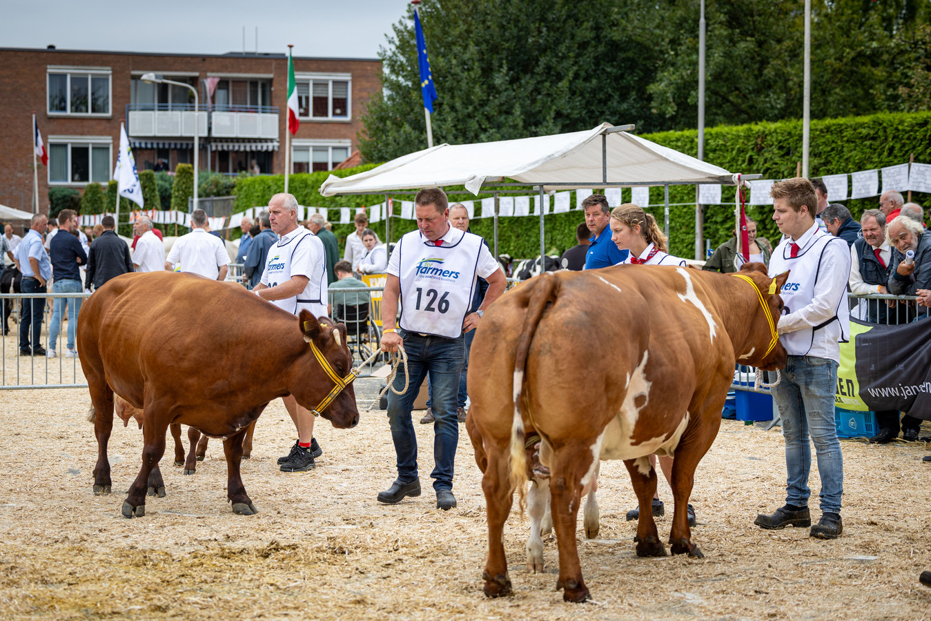 Goed weer voor de drukbezochte paarden- en ponymarkt in Enter: bekijk ...