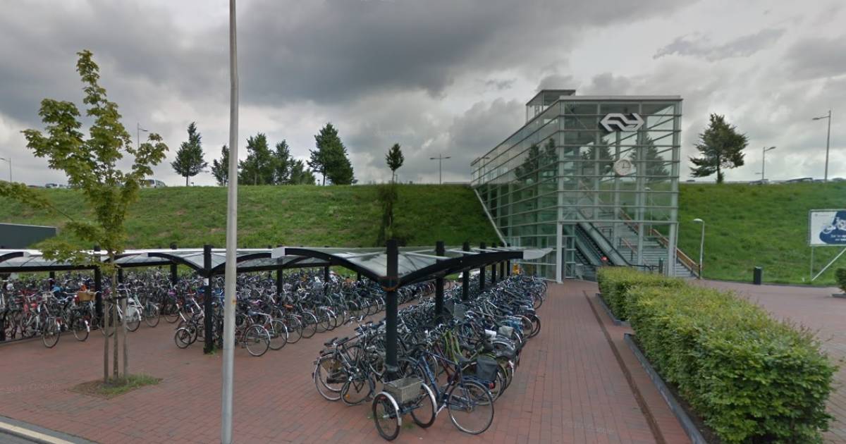 GroenLinks: 'Snelle bus naar station Barendrecht nodig' | Rotterdam | AD.nl