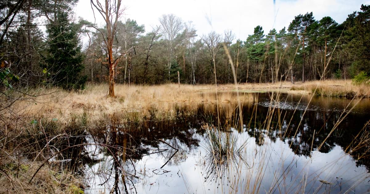 Lezing over ‘List en bedrog in de natuur’ | Best | AD.nl