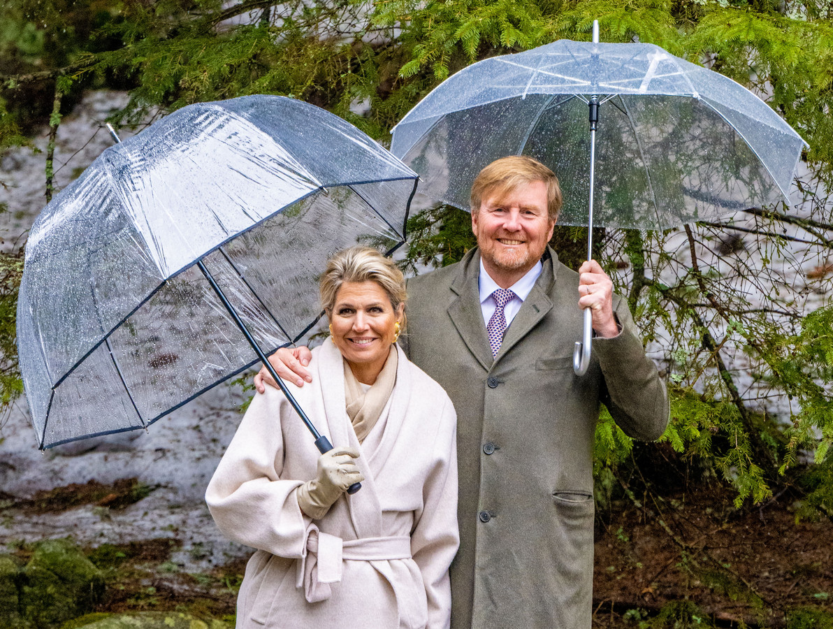 Deze acteurs spelen koning Willem-Alexander en koningin Máxima in ... Deze acteurs spelen koning Willem-Alexander en koningin Máxima in ...