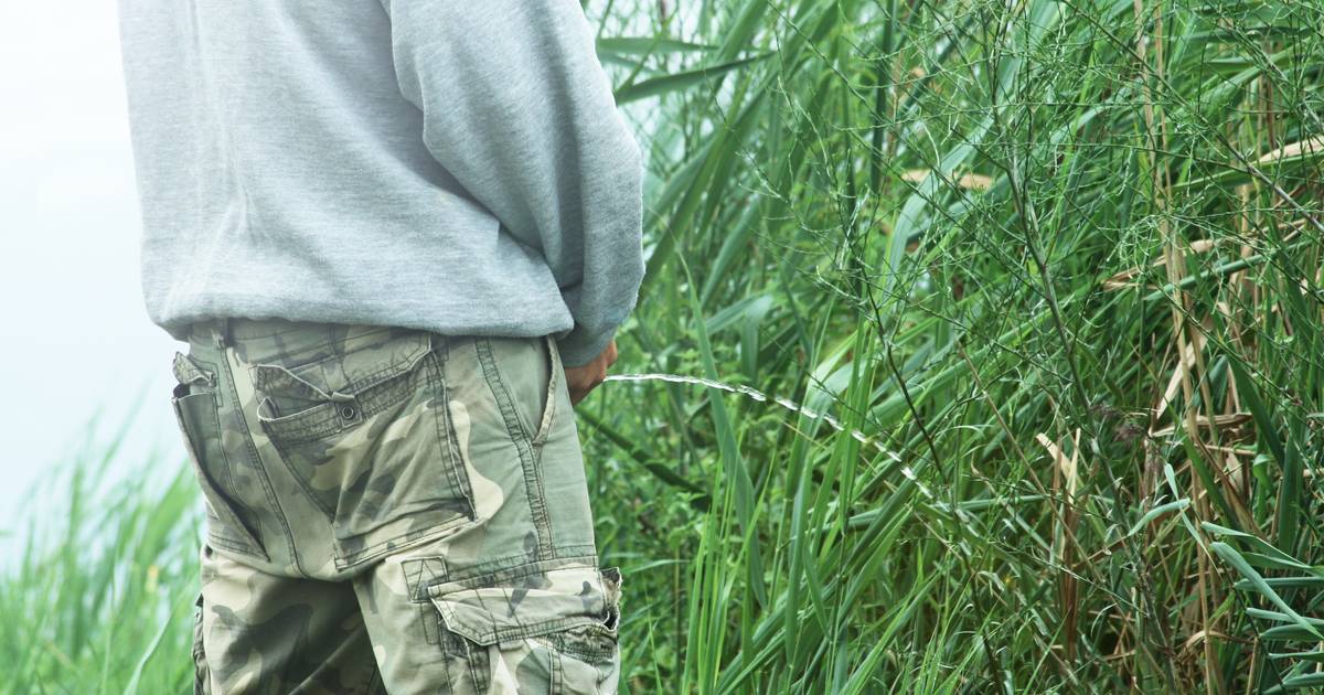 Kinderen zien in Rouveen heel wat anders dan een plassende man: hoe ...