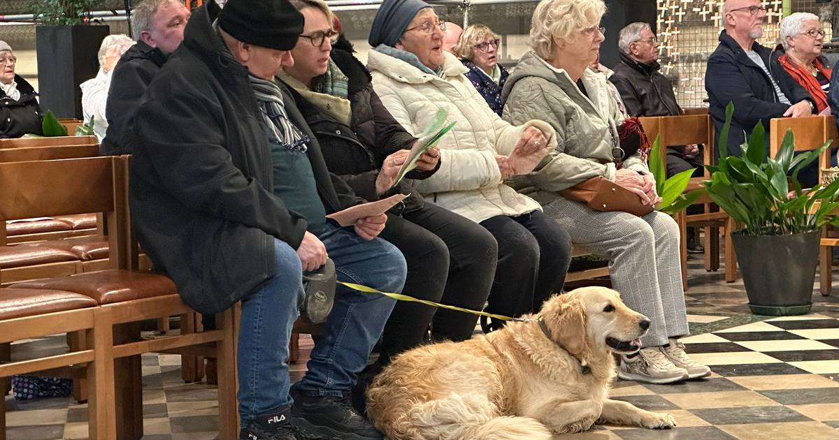 Pastoor zegent schattige viervoeters in Jette | Brussel | hln.be