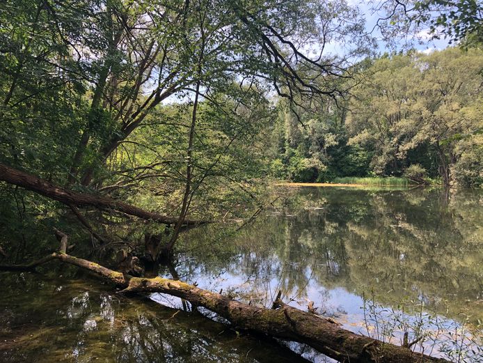 Natuurgebied Wolvenberg-Brilschans erkend als stedelijk natuurreservaat ...