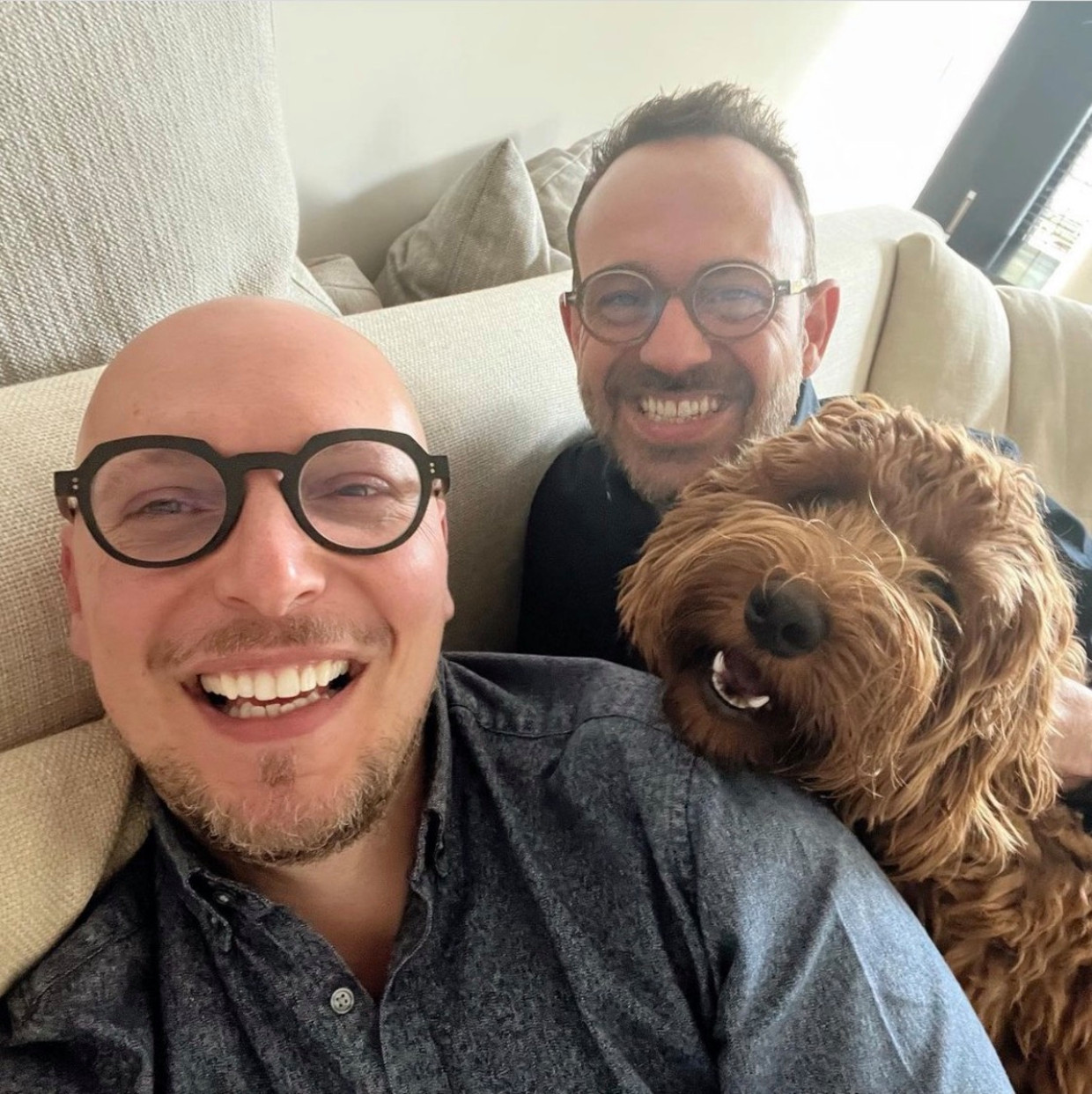 Labradoedels en toypoodles worden massaal aangeschaft. ‘Vergelijk het ...