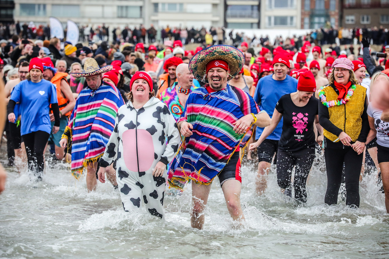 IN BEELD. 400 mensen duiken Noordzee in tijdens Knuffelduik | Foto | hln.be