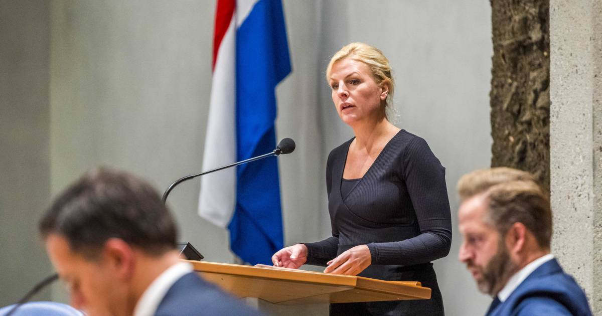 De ambitie van Bredase Attje Kuiken (PvdA): ‘Een einde maken aan ...