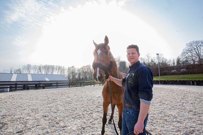 Paardenkliniek De Morette strijdt mee tegen virus dat ruitersport treft ...