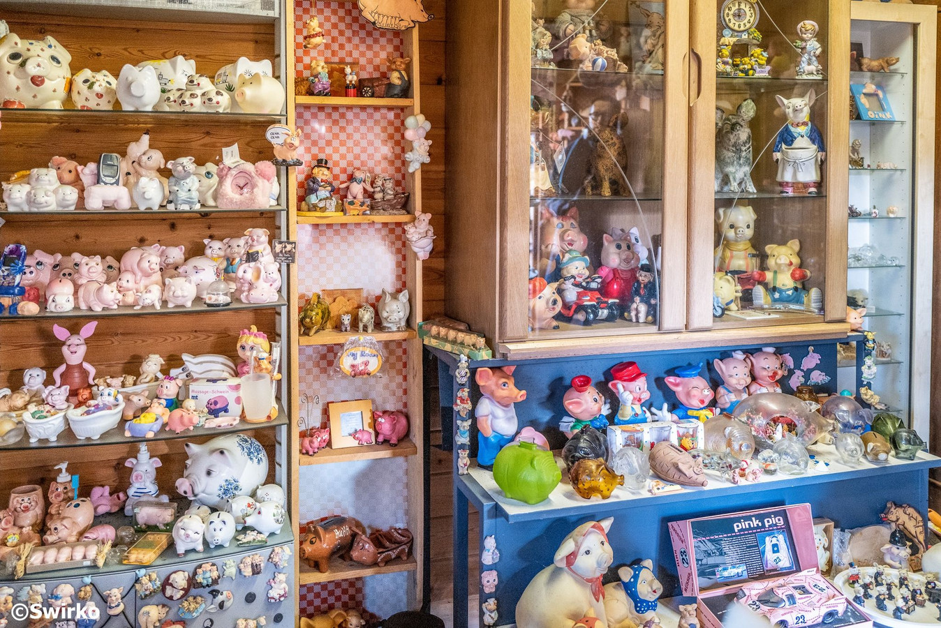 Marc (69) hoopt dat zijn klein ‘Varkensmuseum’ extra boost krijgt na erkenning van Sint ...