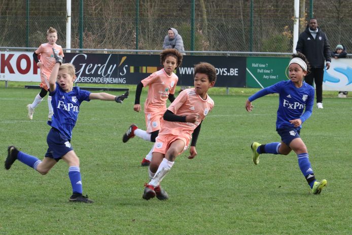 U12 Premier League Truce Tournament | Ieper | hln.be