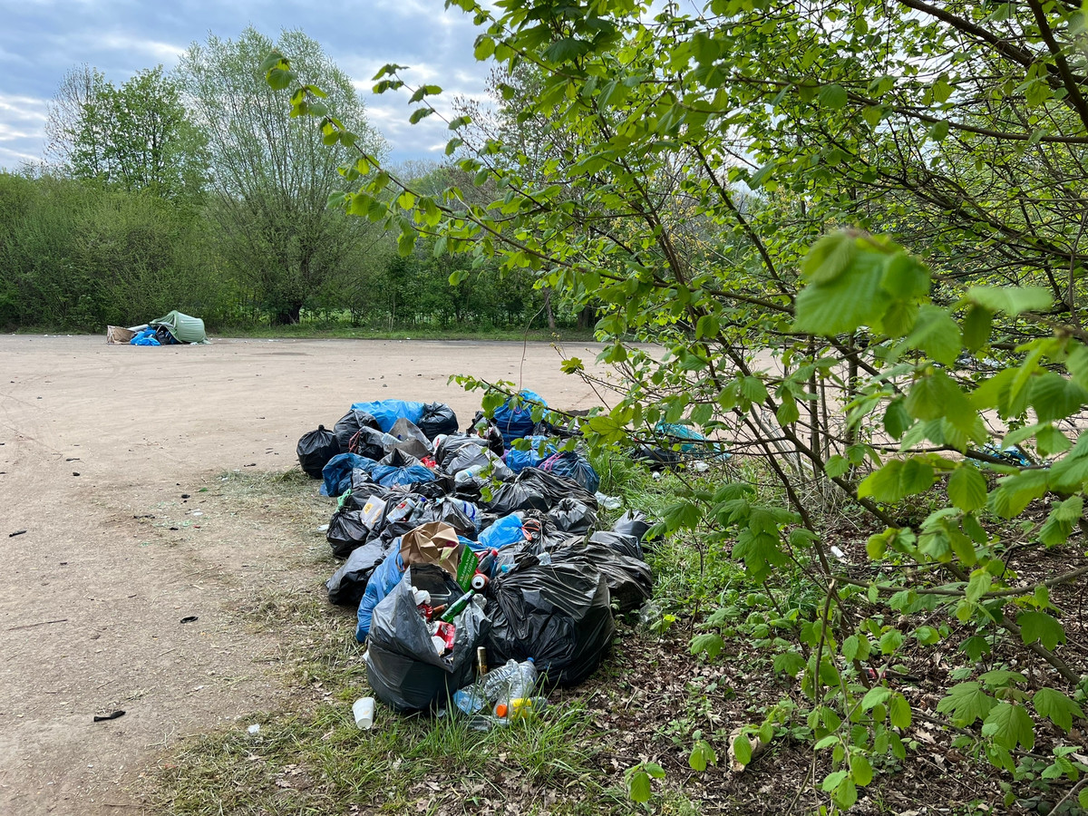 Propere mensen, die ravers. Wij trokken mee het bos in voor de opkuis ...