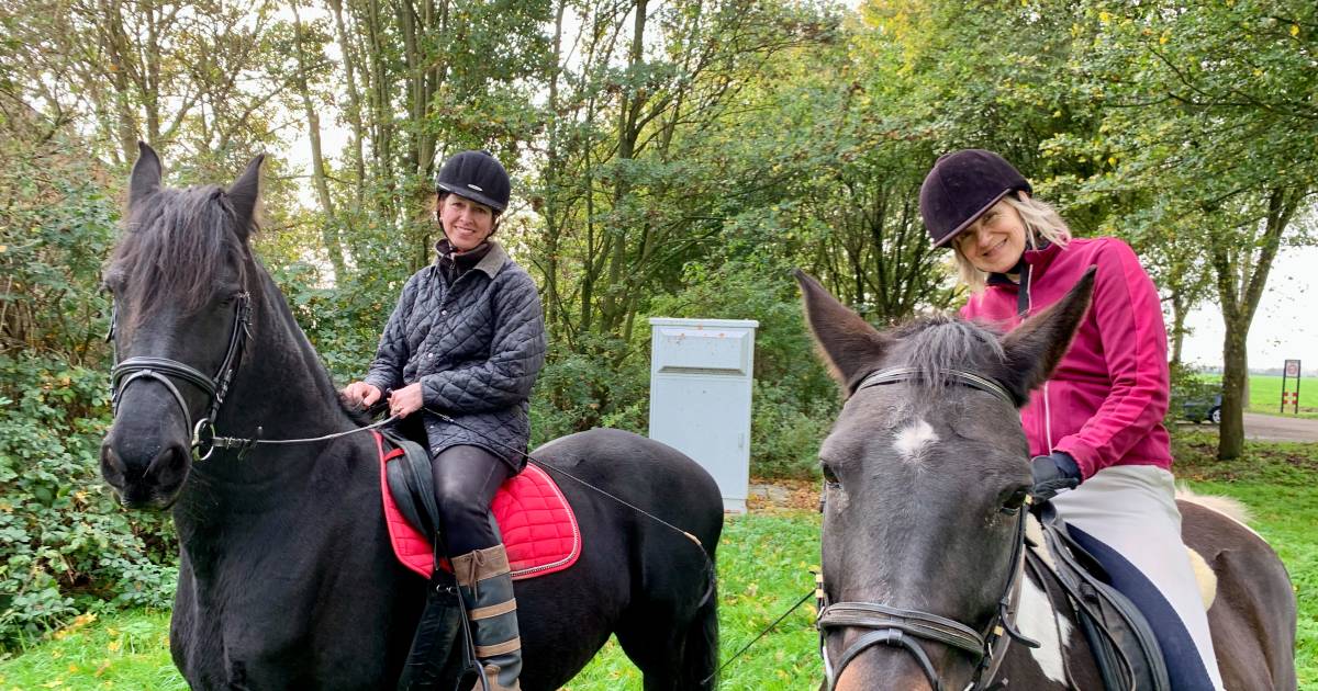 Brigitte en Gerda nemen op de ruggen van Tsjitske en Sophie kalmpjes ...