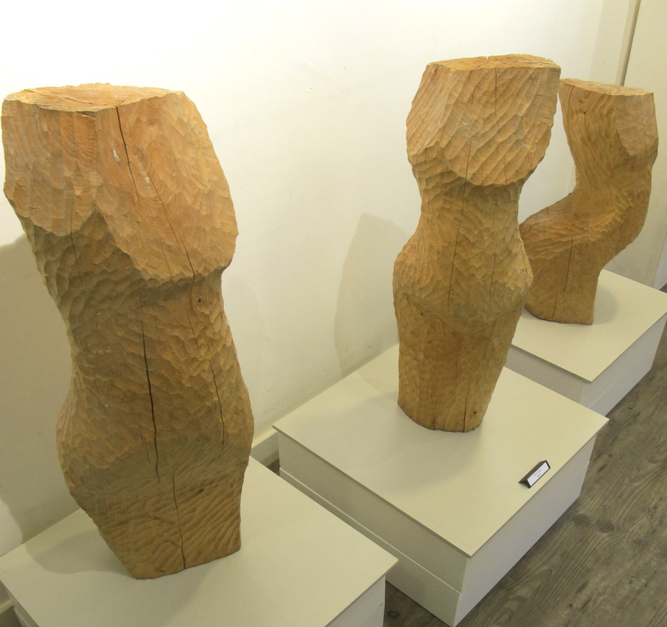 Zeven kunstenaars uit drie generaties van de familie van Amelsvoort ...