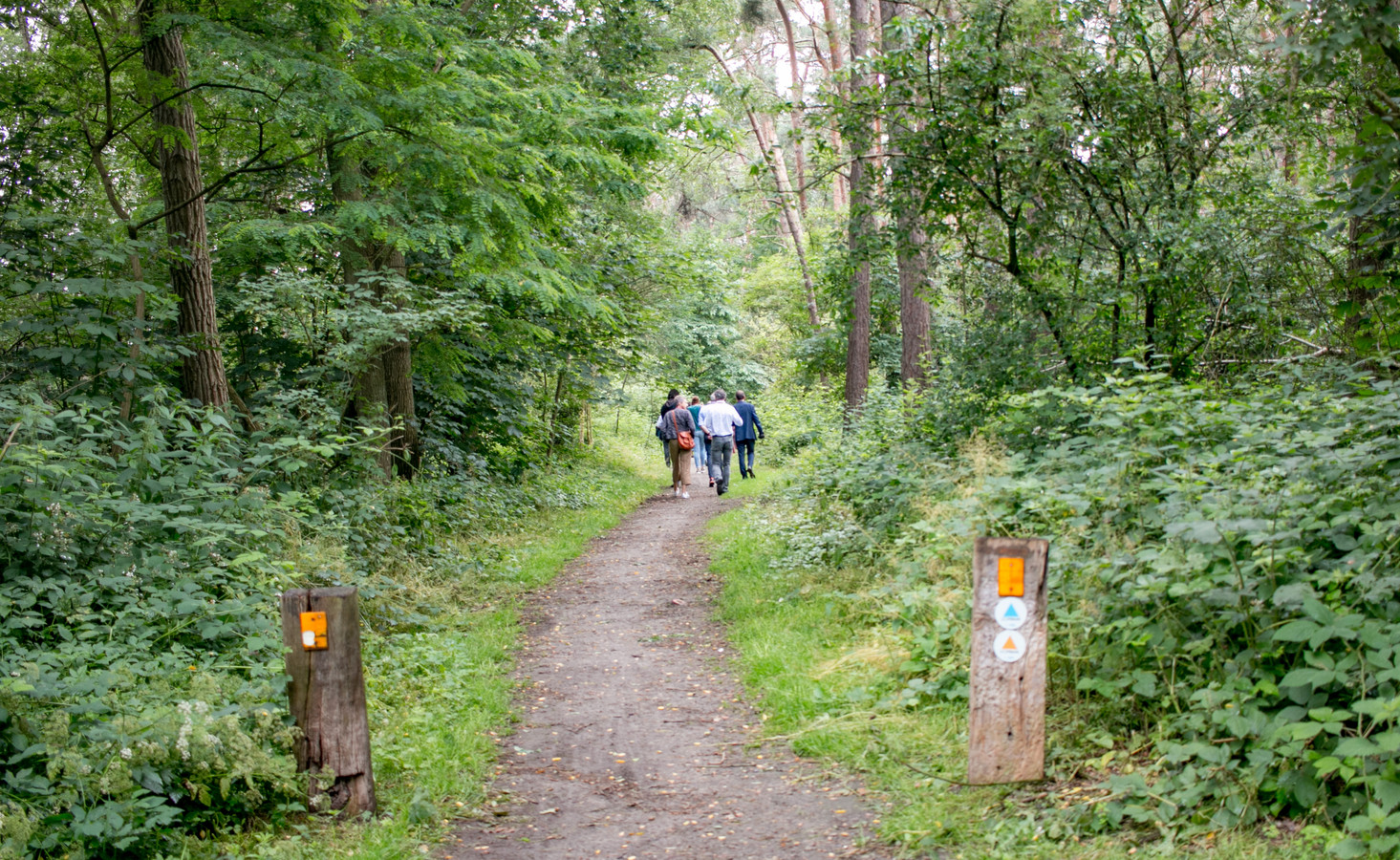 ‘Loopbaan Stadsbos Puitvoet’ geopend: nieuw wandel- en loopparcours met ...