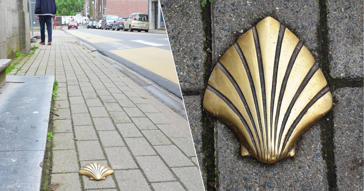 Koperen schelpen op zes symbolische plekken in Ninove leiden de weg ...