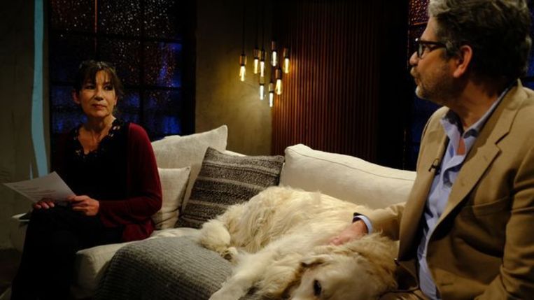 Bea Van der Maat: ‘Ik vind het verschrikkelijk dat mensen bomen ...