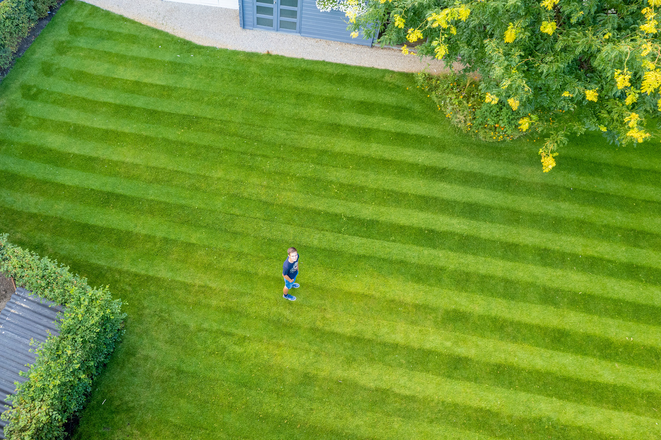 In hun tuin is het gras écht groener: zelfs na wekenlange droogte ligt ...