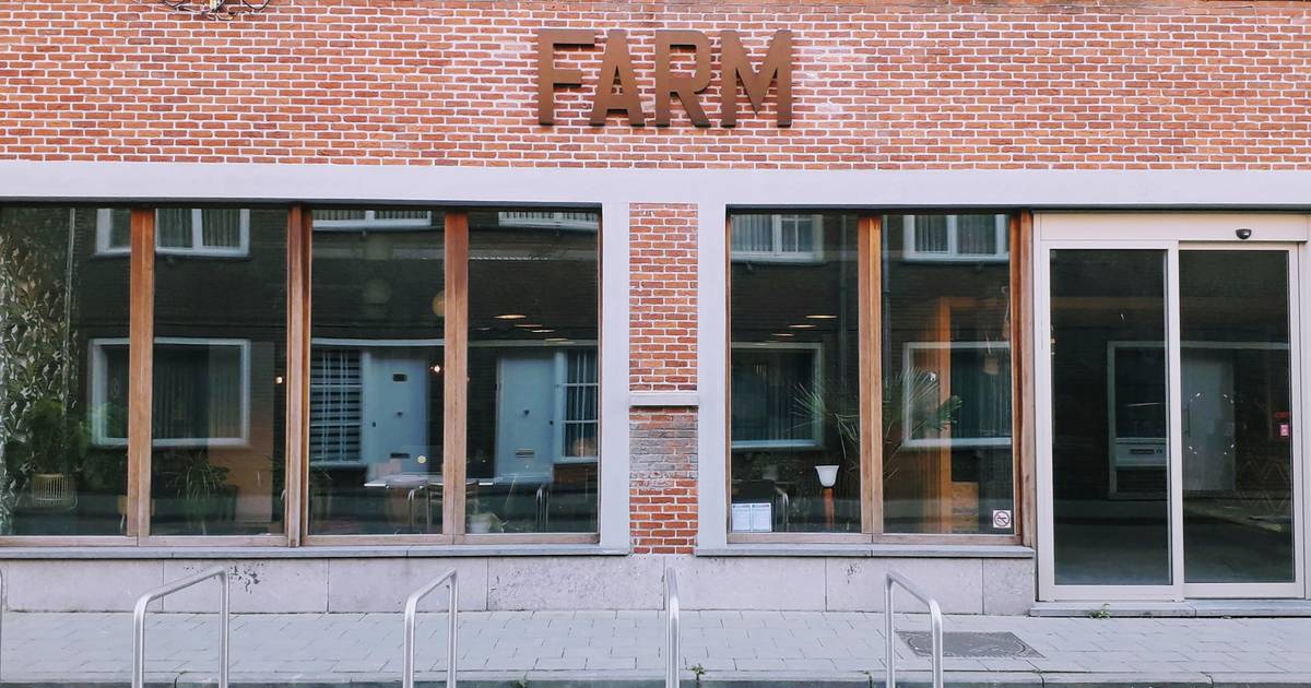 Kapster organiseert Ladies Event in Farmfabriek | Deinze | hln.be