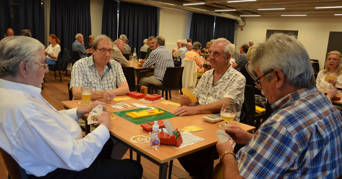 Leer bridge spelen in Sportcentrum De Treffer | Waregem | hln.be