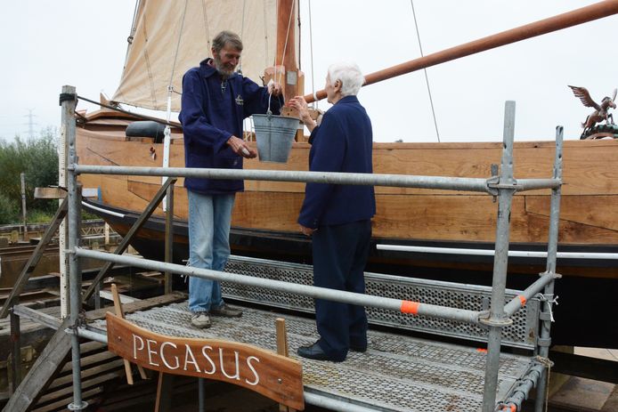 Mosselhengst Pegasus met emmer Scheldewater gedoopt | Regio | hln.be