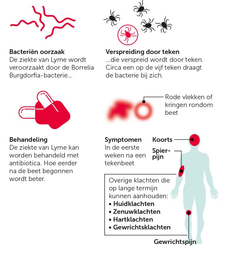 Hoe en waar loop je het risico op de ziekte van Lyme? | De Morgen