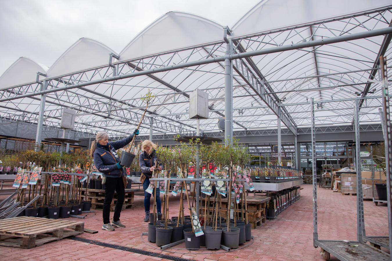 Gezellig dagje in nieuwe Intratuin Hulst: genieten van vol-au-vent en ...