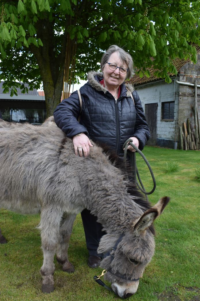 OCMW-gezicht en vrijwilligster Lieve Van den Fonteyne (69) overleden ...