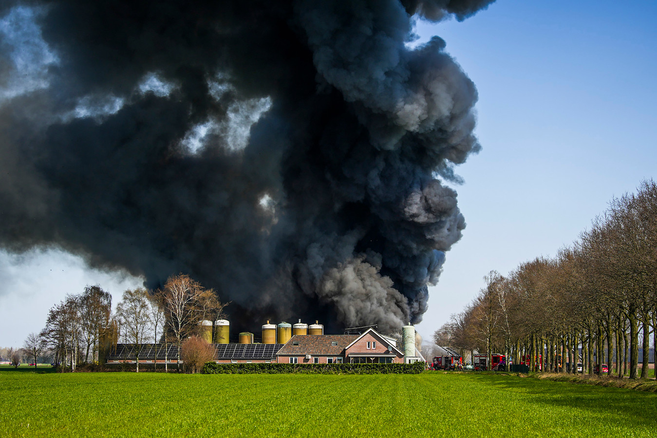 9000 varkens dood bij enorme stalbrand in Sint-Oedenrode | Foto | AD.nl