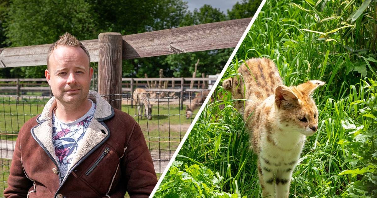 Ruben over zijn exotische 'Ark van Noach': 'Alleen al een stokstaartje ...