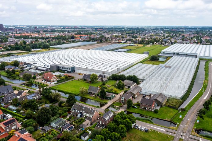 Voor bouw 1200 woningen in Dwarskadegebied Nootdorp moeten paar ...