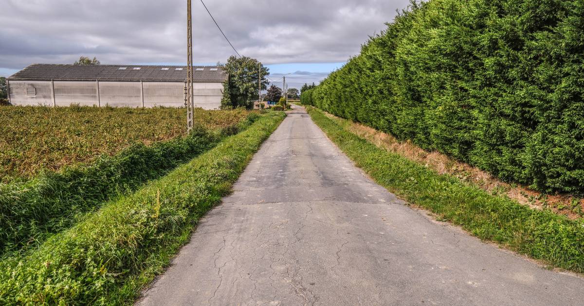 Wegen in slechte staat worden hersteld: “Nieuwe fundering en nieuwe ...