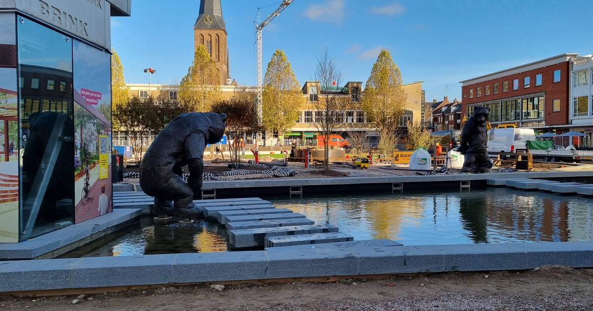 Eerste boompjes worden ingegraven op Hengelose markt | Hengelo ...