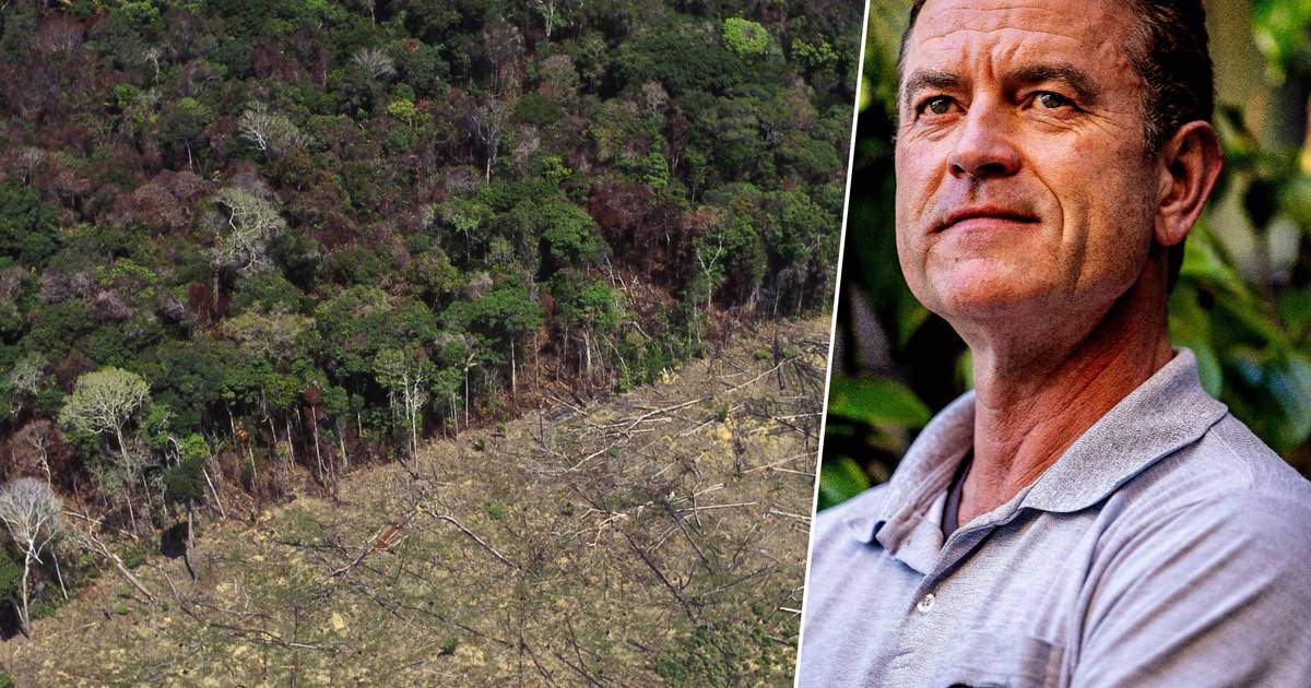 Regenwoud verdwijnt razendsnel in Brazilië, maar Ben zegt dé oplossing ...