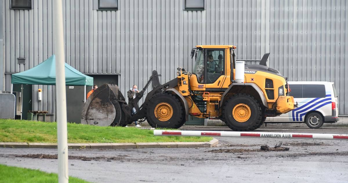 Man raakt gewond na botsing met bulldozer op terreinen van ...