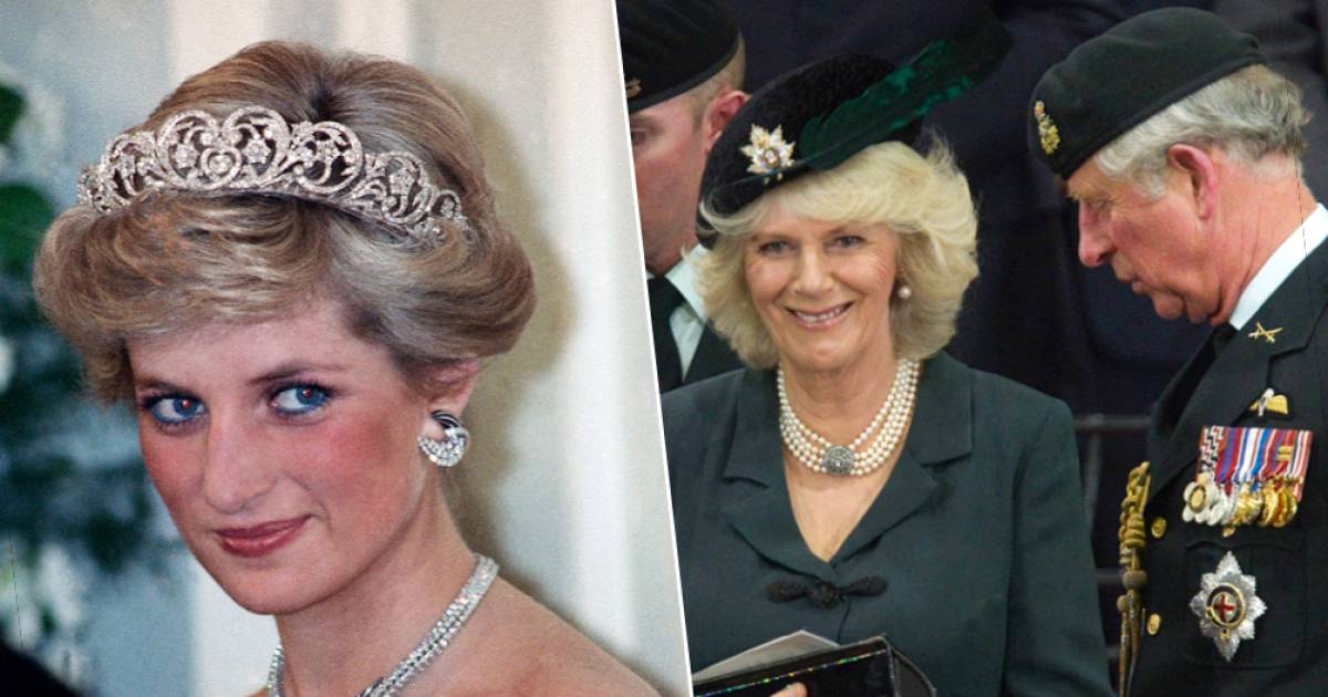 “Ze twijfelden aan z'n geschiktheid om te regeren”: wat is het ‘tampon ...