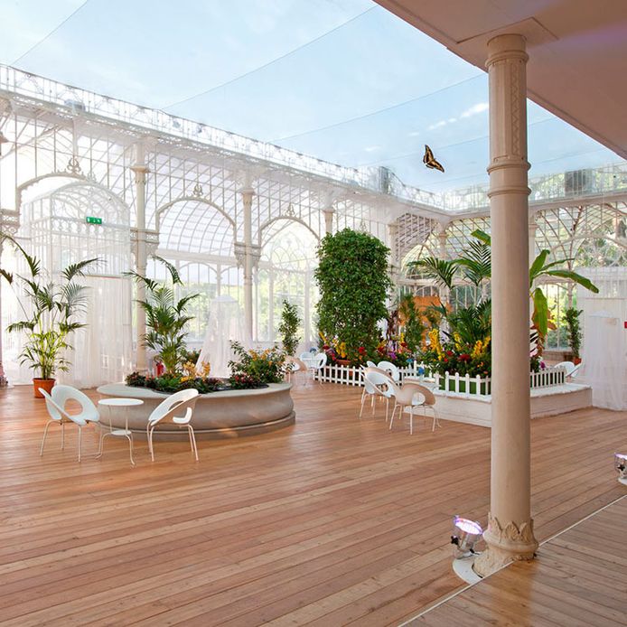 Deze zomer 'pop-up vlindertuin' op Zeedijk | Knokke-Heist | hln.be