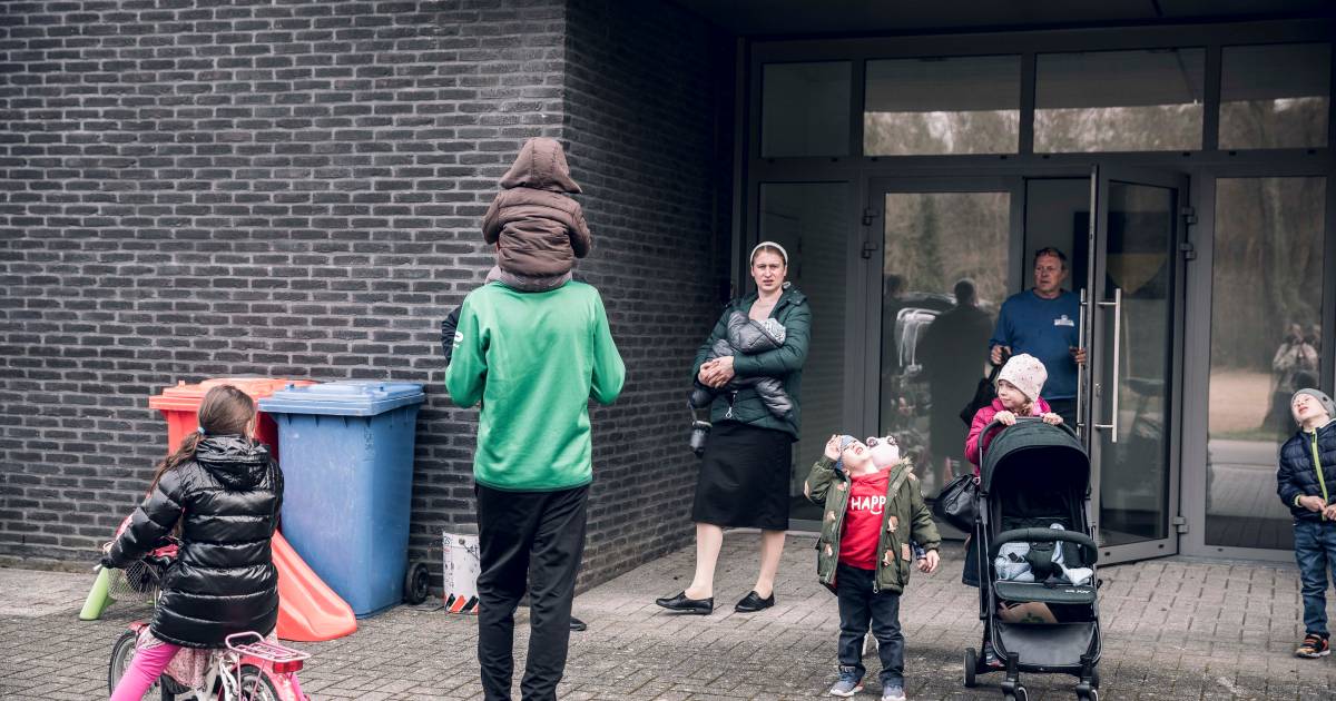 Aantal immigranten steeg 48 procent in 2022, vooral door oorlog in Oekraïne | Nieuws | hln.be