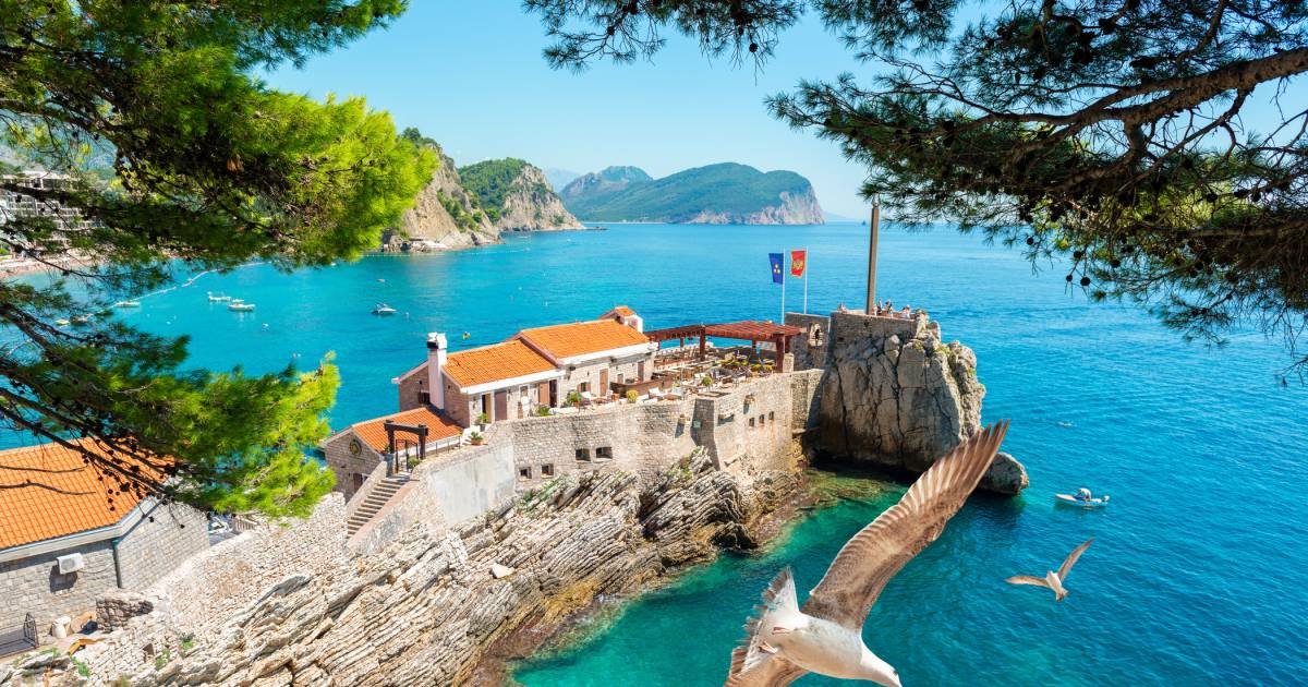 Belg overleden in Montenegro: man wil foto maken maar glijdt uit en ...