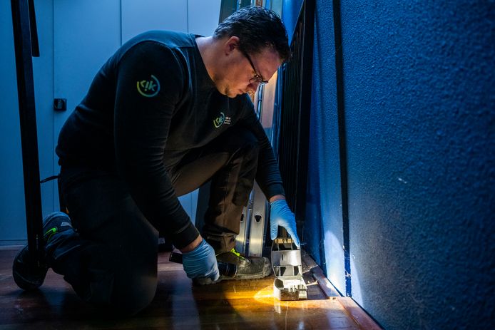 Nu de werknemer thuis is, dansen de muizen op de... bureaus ...