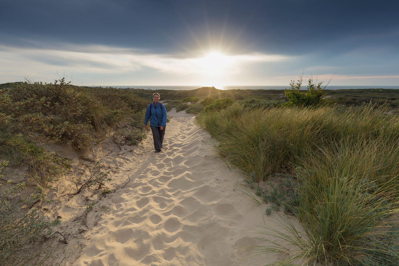 Spot je deze rups op een wandeling door de duinen? Blijf er vooral van ...