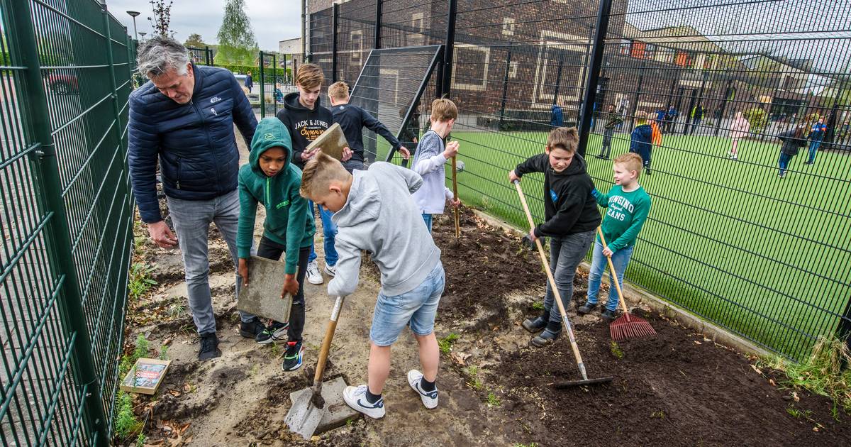 Week van de Schooltuin: Bij De Windroos in Oldenzaal gaan steeds meer ...