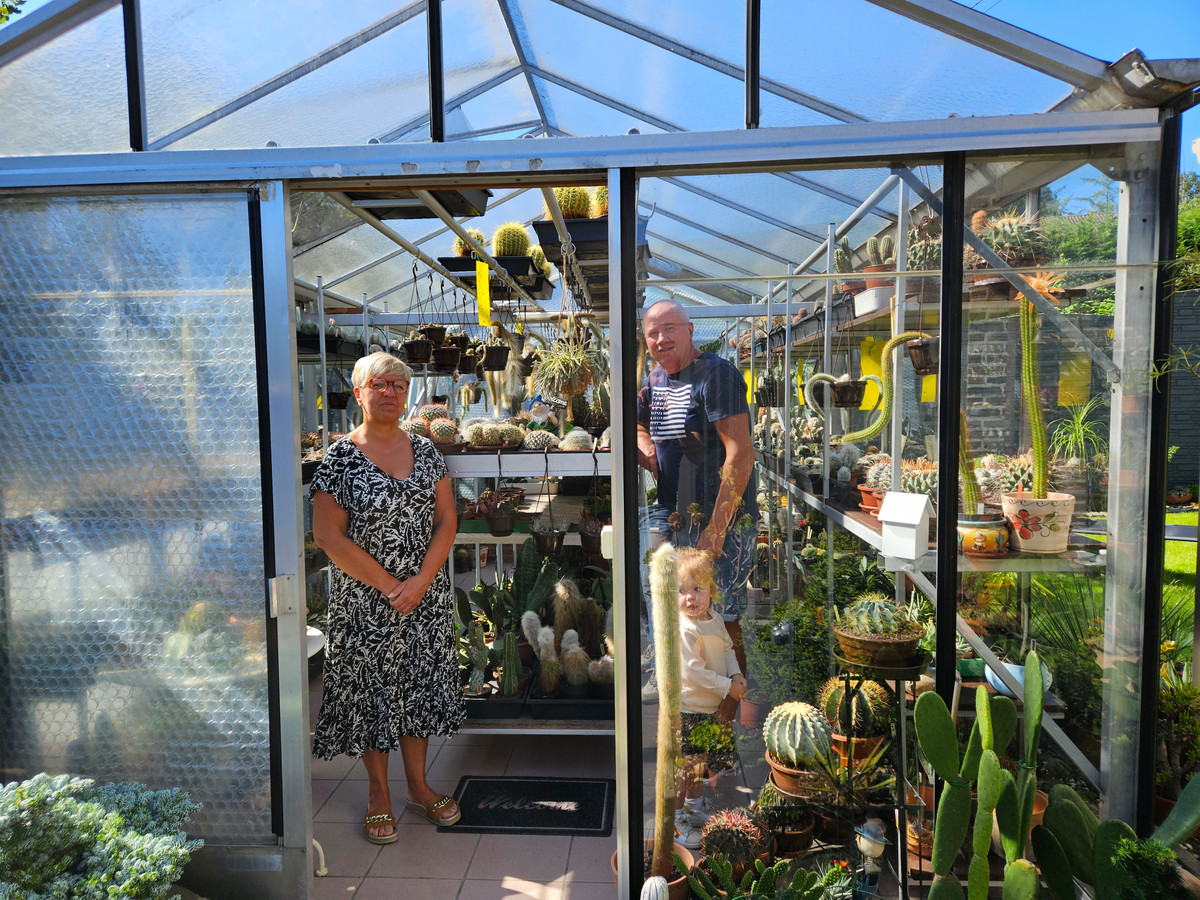 MIJN TUIN. De duizend cactussen van Sabine en Dirk: “Als de ...