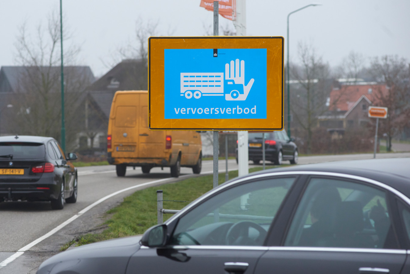 Kippenboer Marco voelt impact vogelgriep: ’Dit doet even flink pijn ...