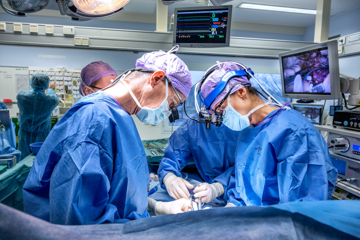 Wie mag straks nog een kinderhart opereren? Een strijd tussen ...