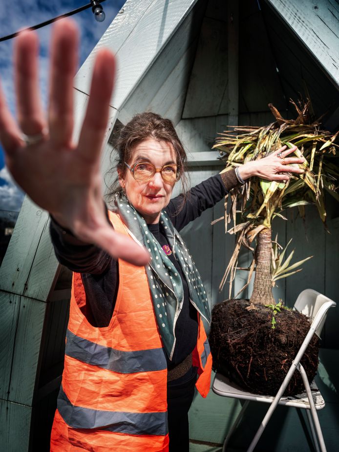 Malou Gorter: ‘Ik kan heel goed strenge vrouwen spelen, maar ik ben ...