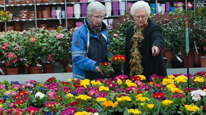 Tuincentrum Overvecht Breda dicht | Breda | bndestem.nl