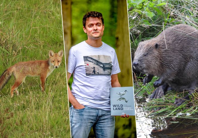 De Big Five van West-Vlaanderen spotten? Hier heb je de grootste kans ...